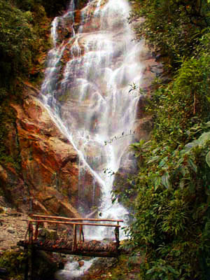 Pros & Cons: The Inca Trail to Machu Picchu vs the Salkantay Trek ...