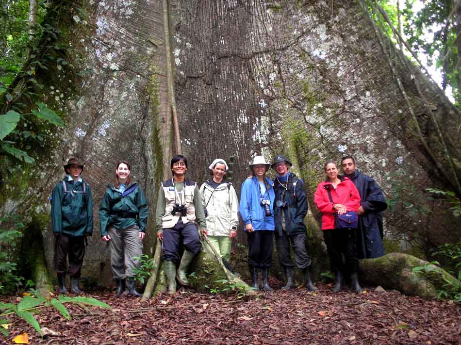 Reserva del Manu en la Amazonía peruana: ¿Cómo Llegar y qué hacer ...
